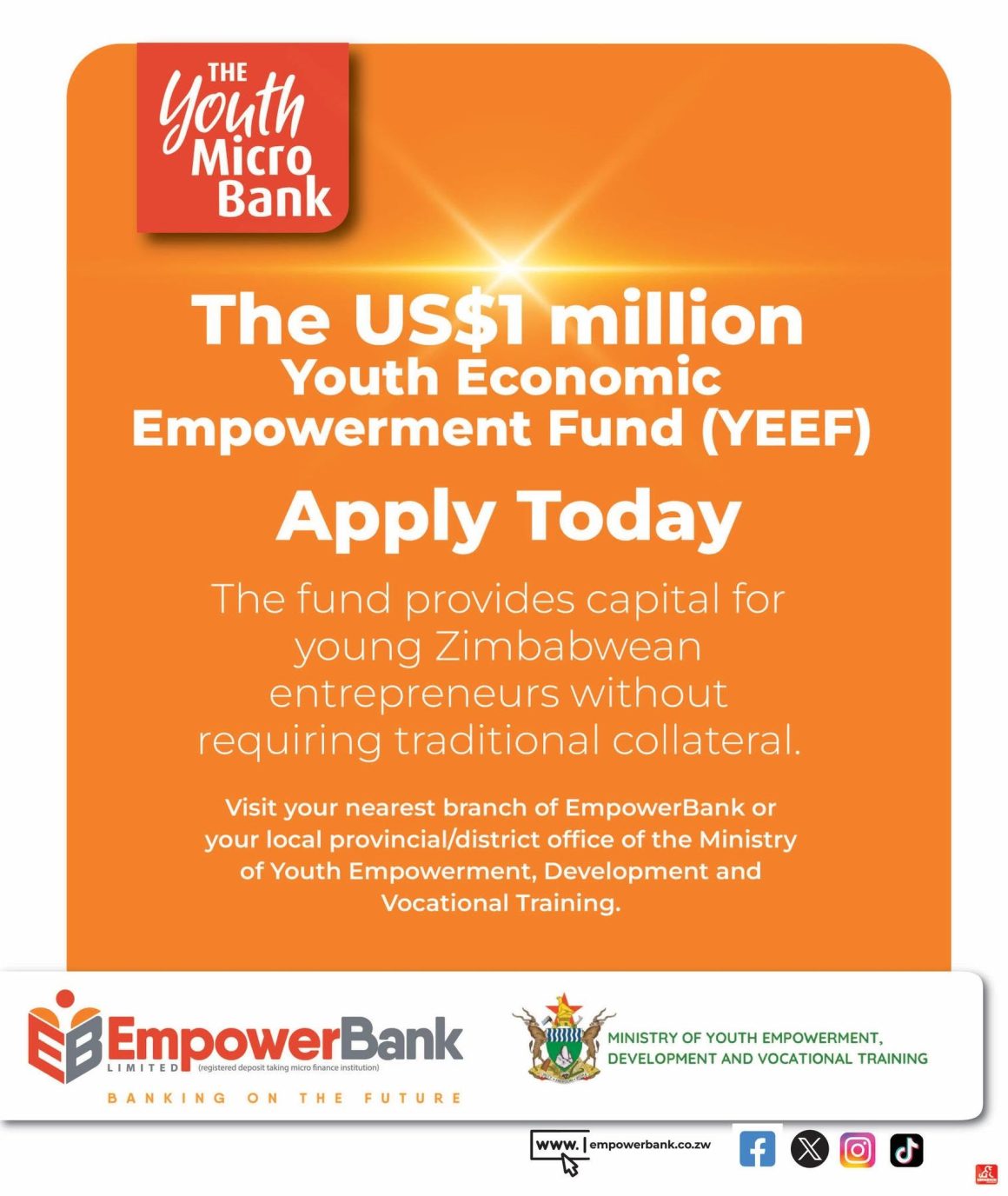Secure capital via the USD $1 million Youth Economic Empowerment Fund ...